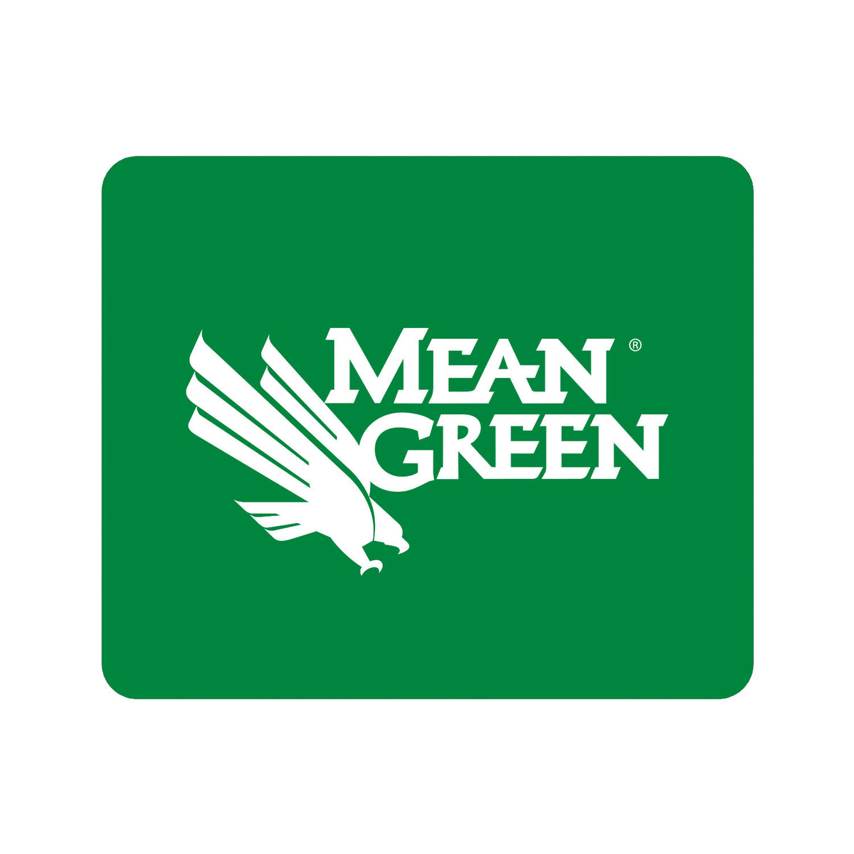 University of North Texas Mouse Pad | OTM Essentials